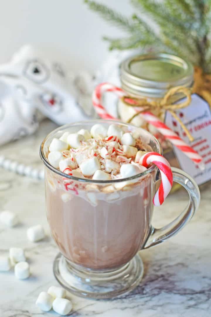 Peppermint Hot Cocoa Mix - Soulfully Made