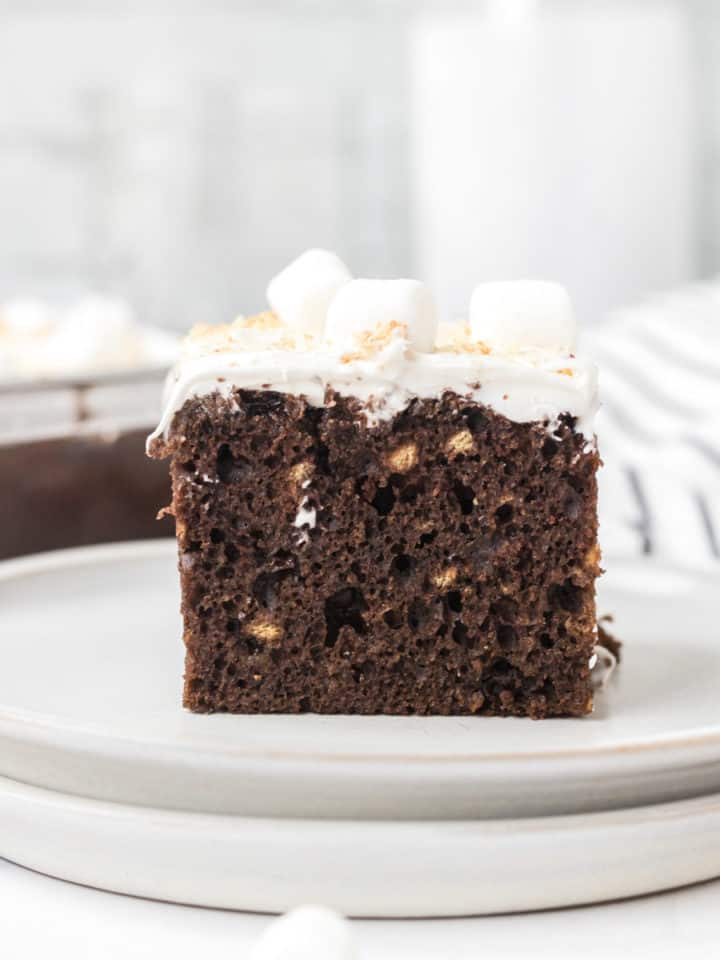 Pecan Chewy Cake (Pecan Chewies) - Soulfully Made