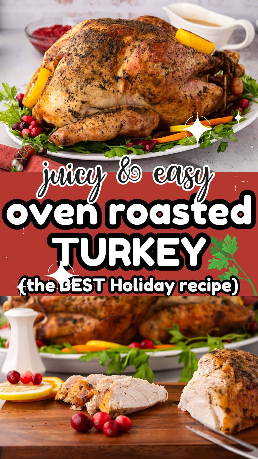 Best Seasoned Roasted Turkey Recipe - Soulfully Made