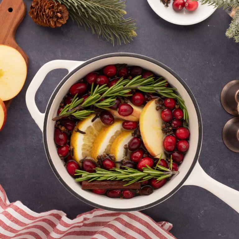 Homemade Christmas Simmer Pot - Soulfully Made