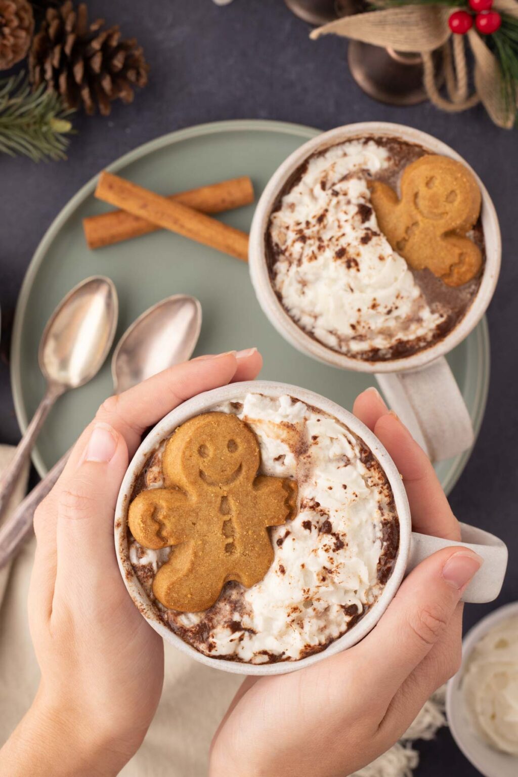 Gingerbread Hot Chocolate Recipe - Soulfully Made